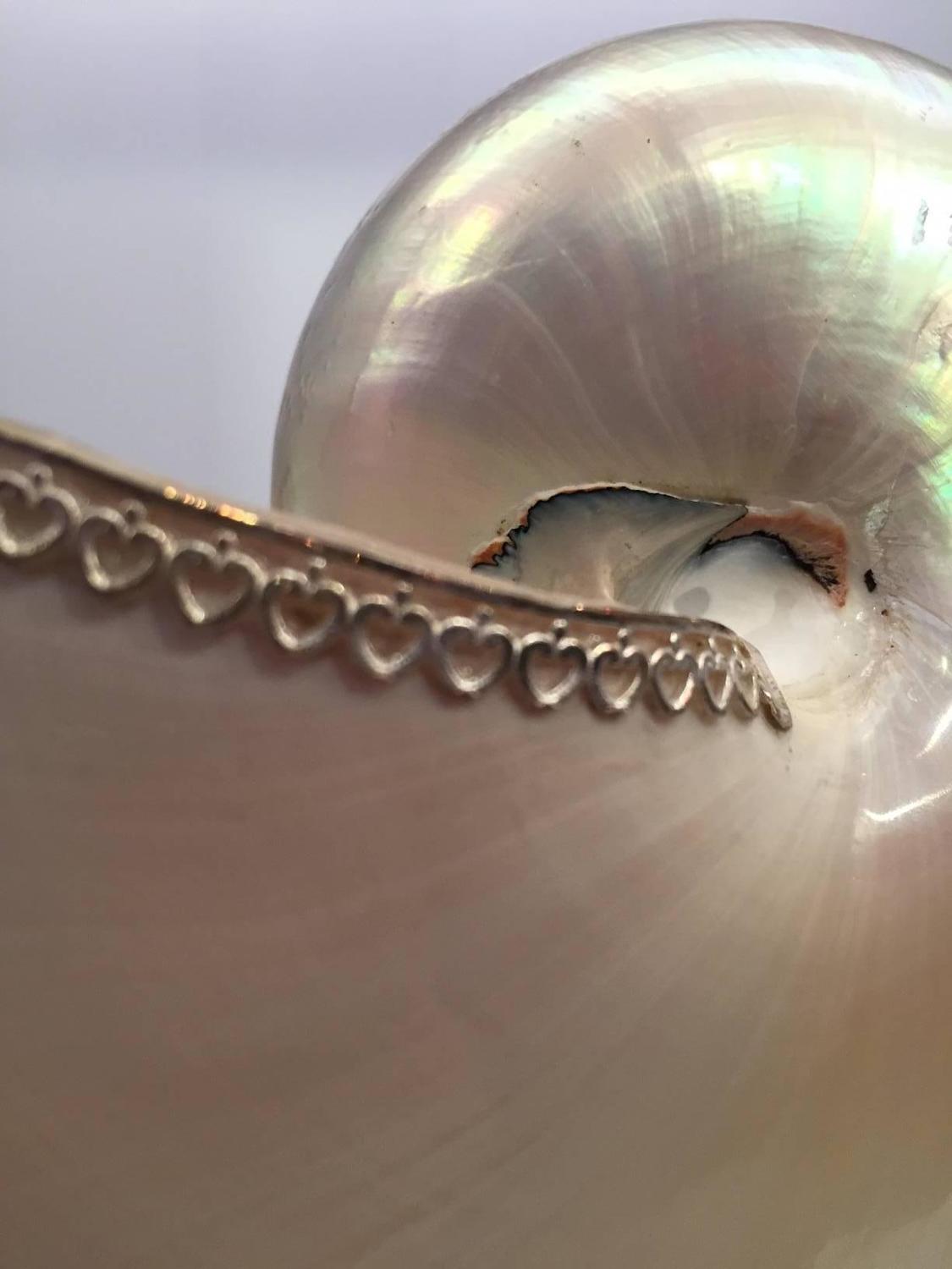 Italian Sterling Silver-Mounted Creel and Gow Mother-of-pearl Nautilus ...
