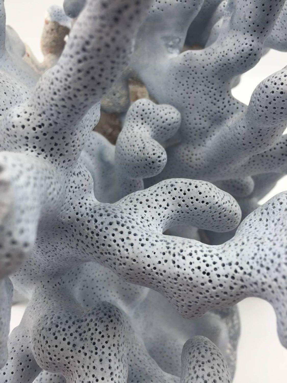 Very Large Natural Blue Coral Specimen from the Solomon Islands at 1stdibs