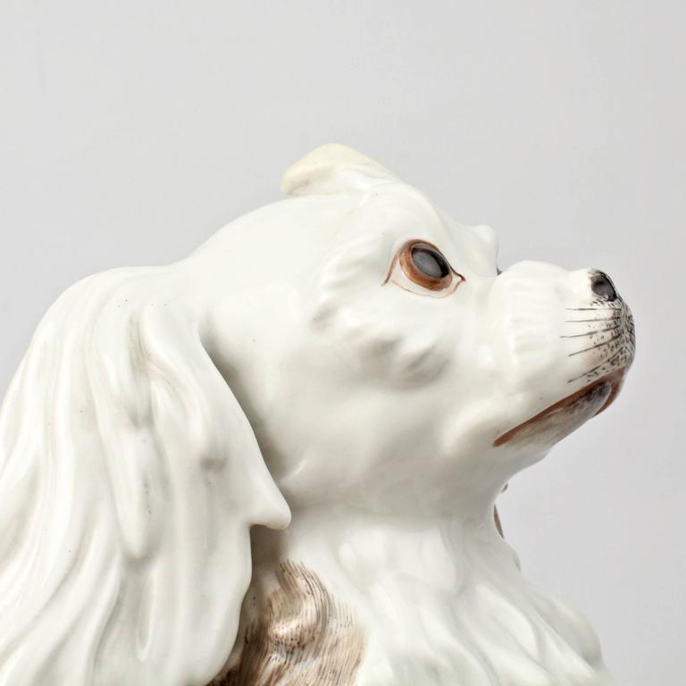Antique Dresden Porcelain Bolognese Dog Figurine at 1stDibs