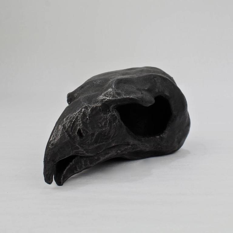 Unique Black Painted Terracotta Sculpture of a Hawk Skull by Darla ...