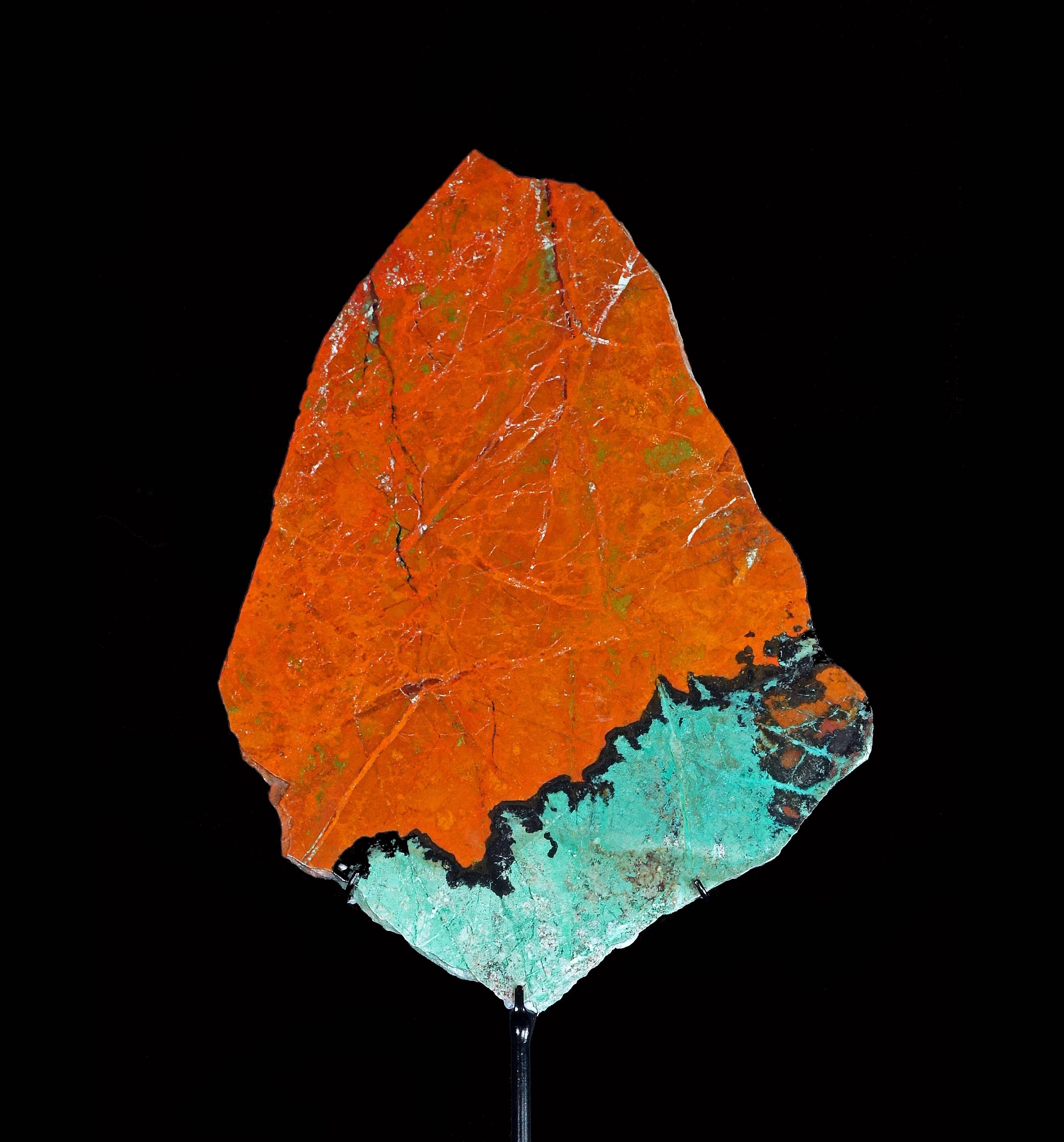 Cuprite, Tenorite and Chrysocolla, Pair of Polished Cut Slices For Sale ...