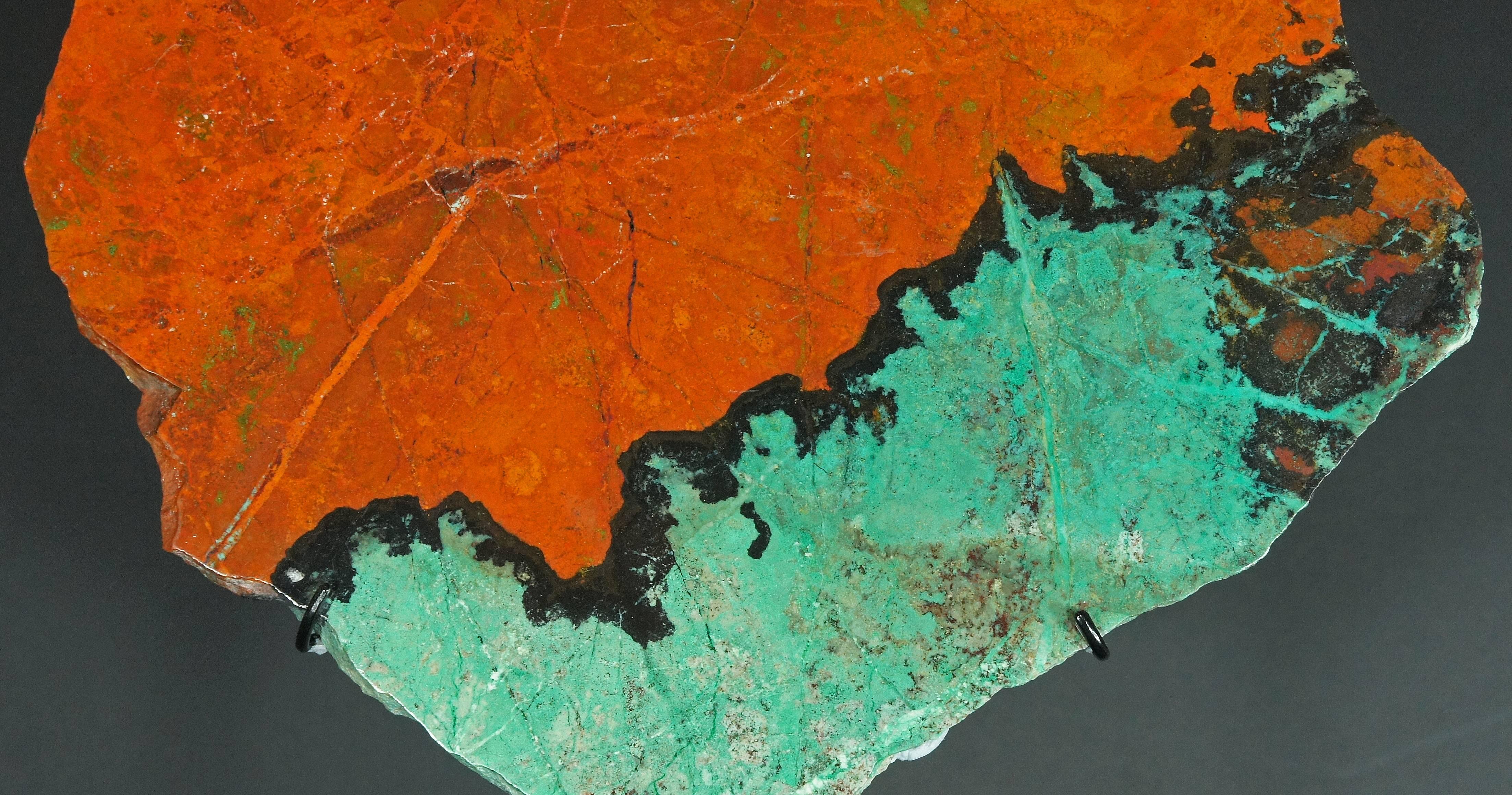 Cuprite, Tenorite and Chrysocolla, Pair of Polished Cut Slices For Sale ...