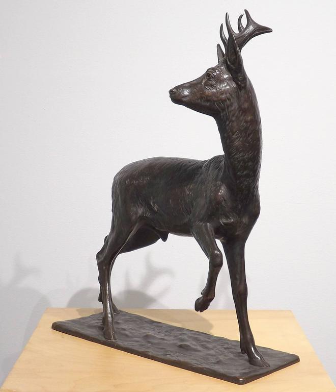 'Young Buck' Original Bronze by Fritz Diller at 1stDibs