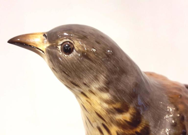 Pair of Meissen Porcelain Models of Fieldfare Birds, Germany, circa ...