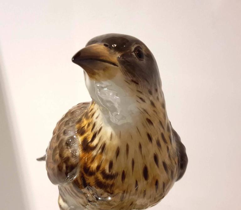 Pair of Meissen Porcelain Models of Fieldfare Birds, Germany, circa ...