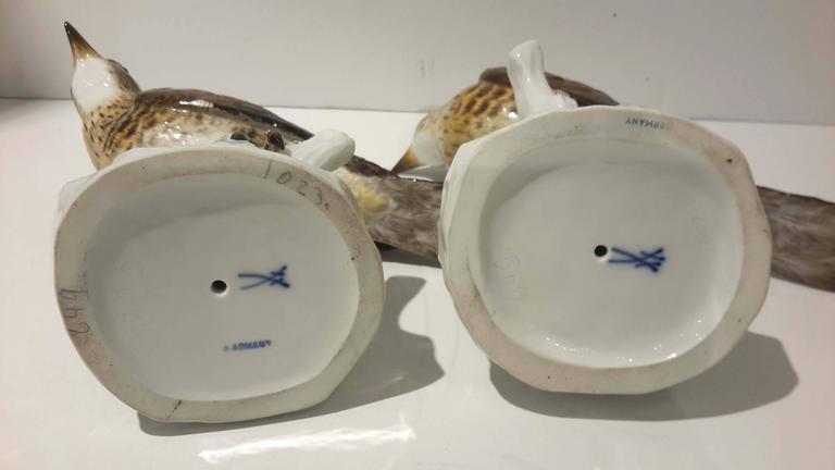 Pair of Meissen Porcelain Models of Fieldfare Birds, Germany, circa ...