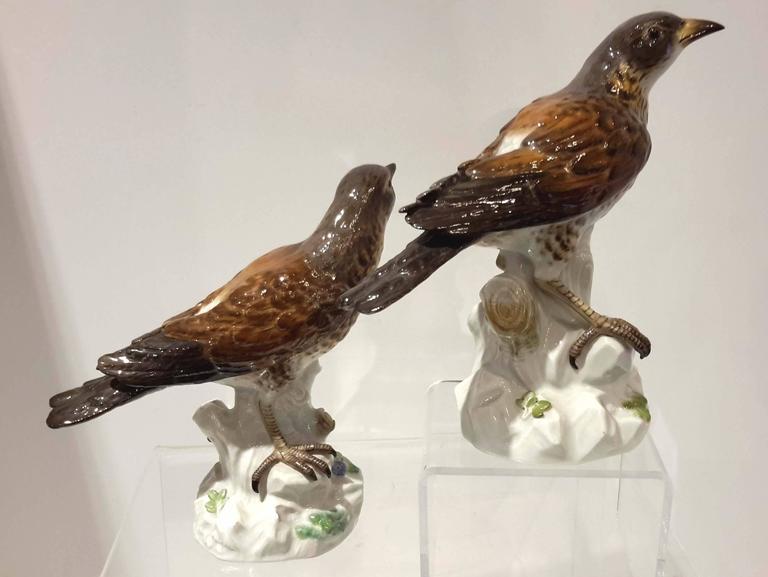 Pair of Meissen Porcelain Models of Fieldfare Birds, Germany, circa ...
