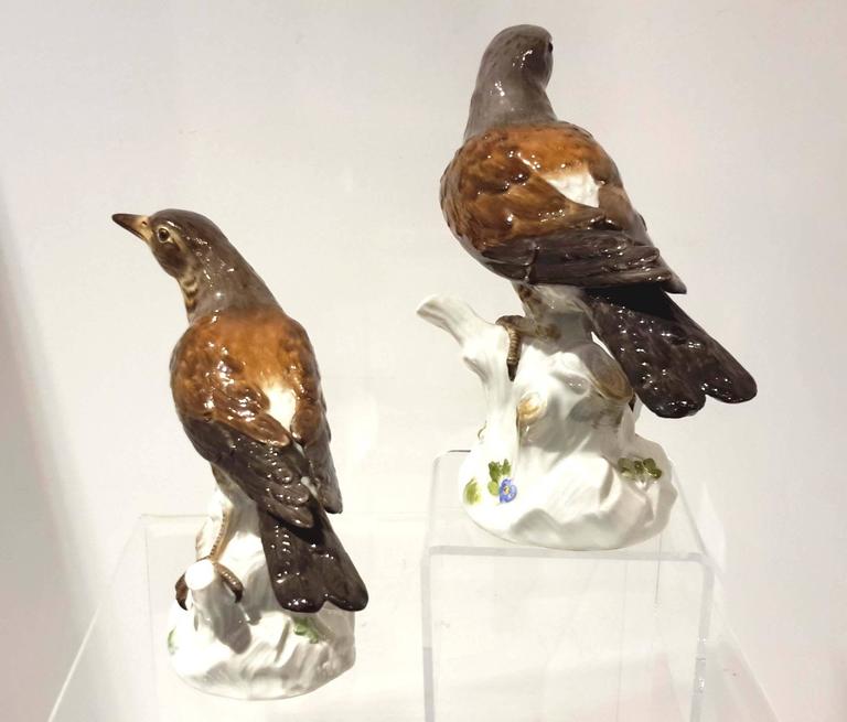 Pair of Meissen Porcelain Models of Fieldfare Birds, Germany, circa ...