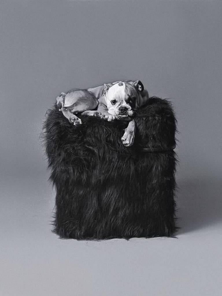 "Blocco" Black Mongolian Fur or Velvet Pouf Designed by Nanda Vigo for ...