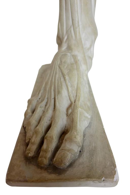 Plaster Foot Educational Model by Sculpture House at 1stDibs