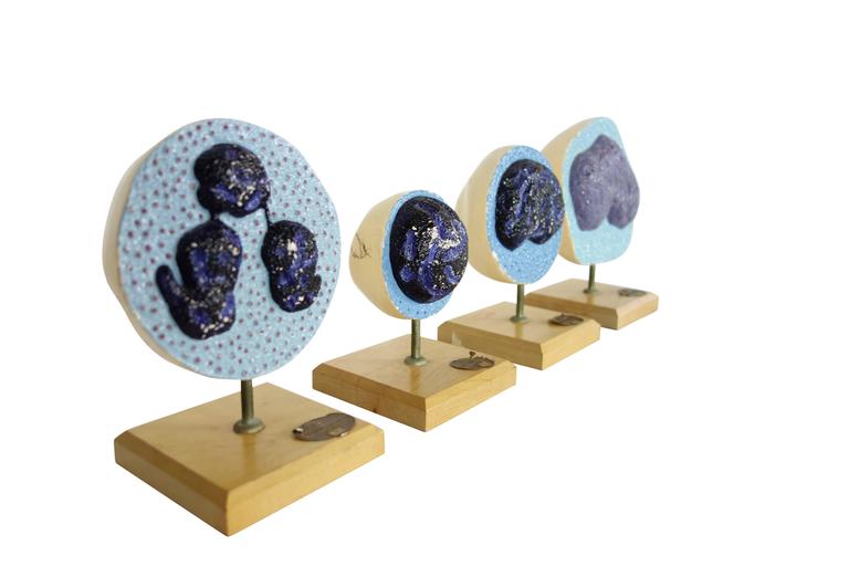 Set of Four Mueller-Ward 3d Cellular Mitosis Biology Models Copyright ...