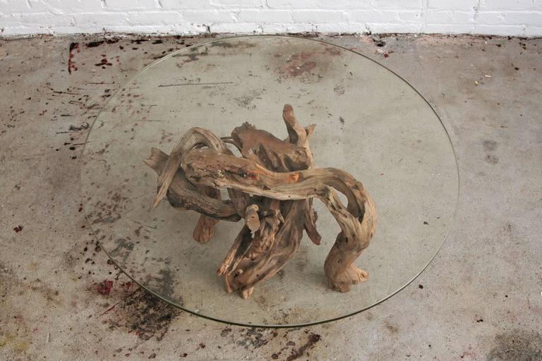 Driftwood Coffee Table Round Glass Top at 1stDibs
