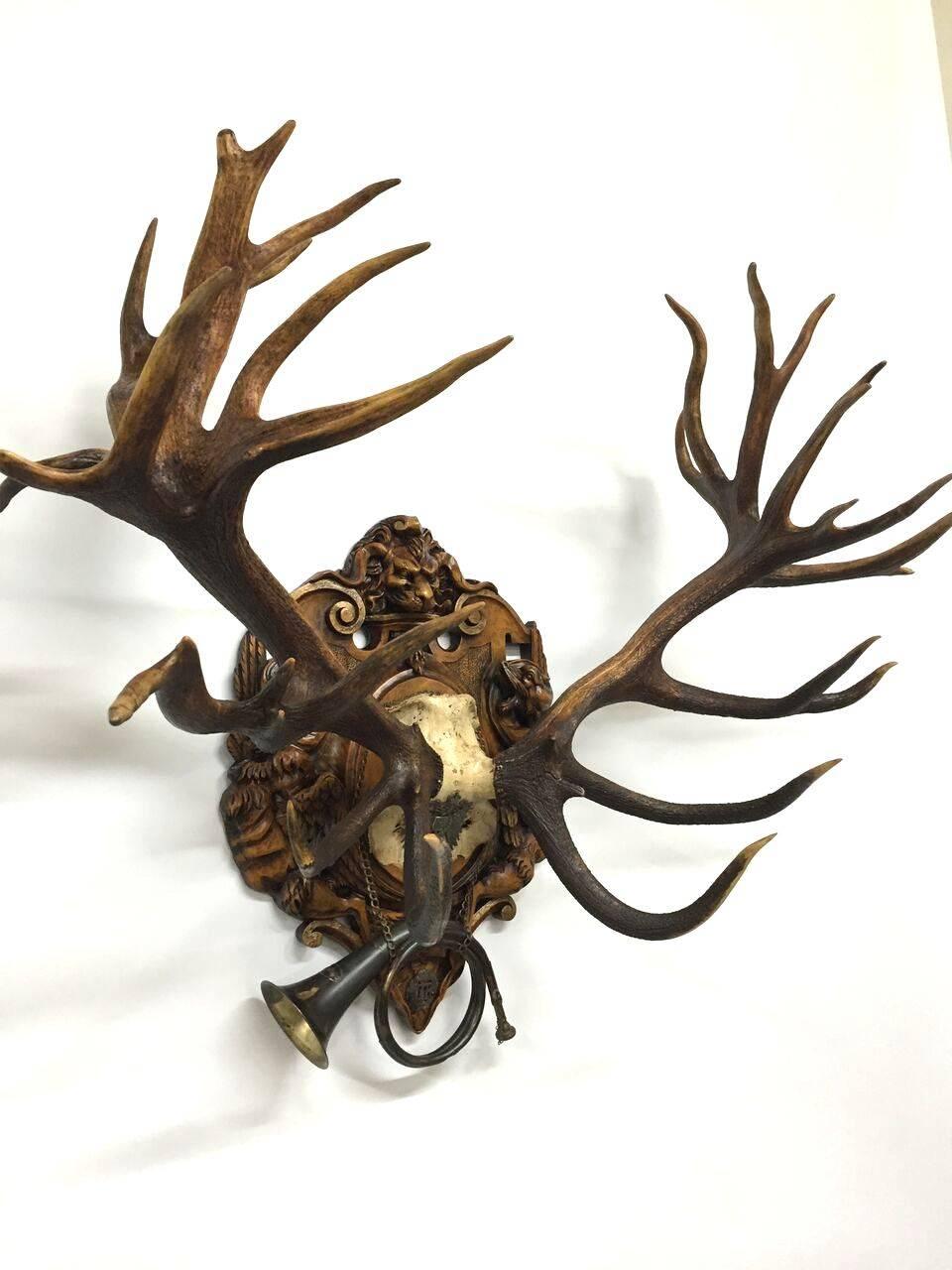 19th Century Red Stag Hunt Trophy from Kaiser Wilhelm II's 1892 ...