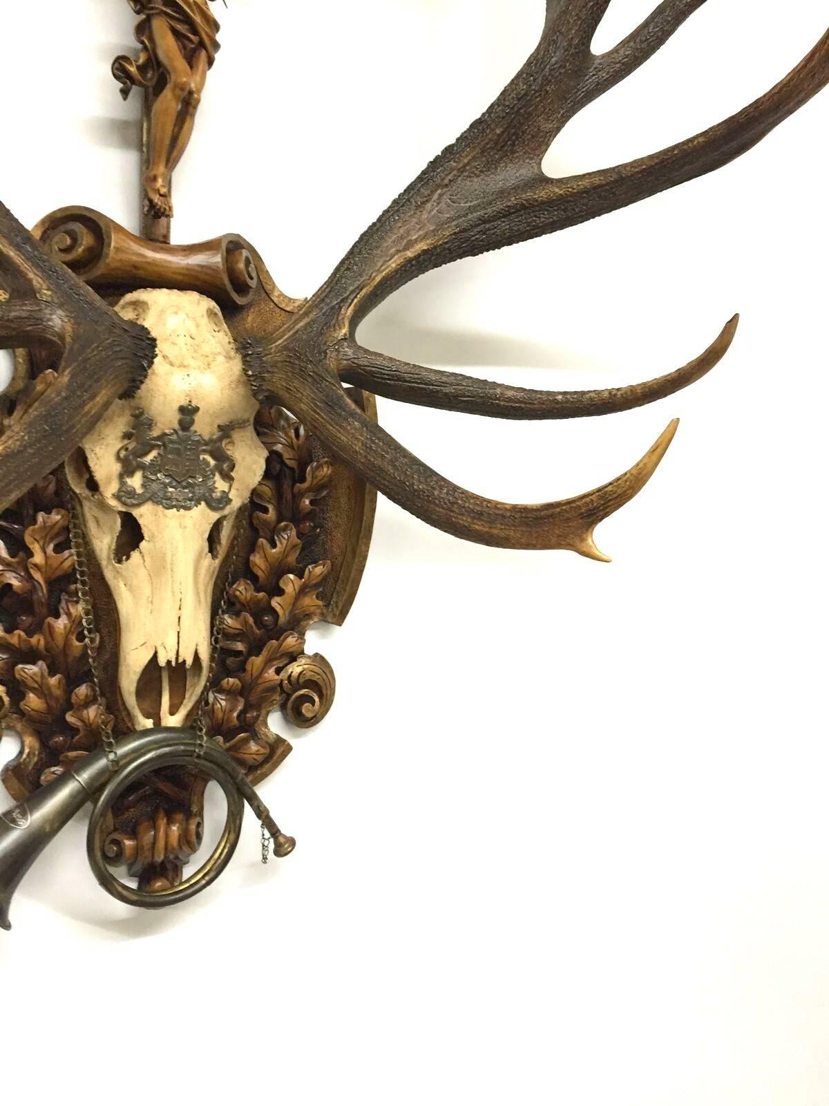 19th Century St. Hubertus Red Stag Hunting Trophy with Fürst Pless Horn ...