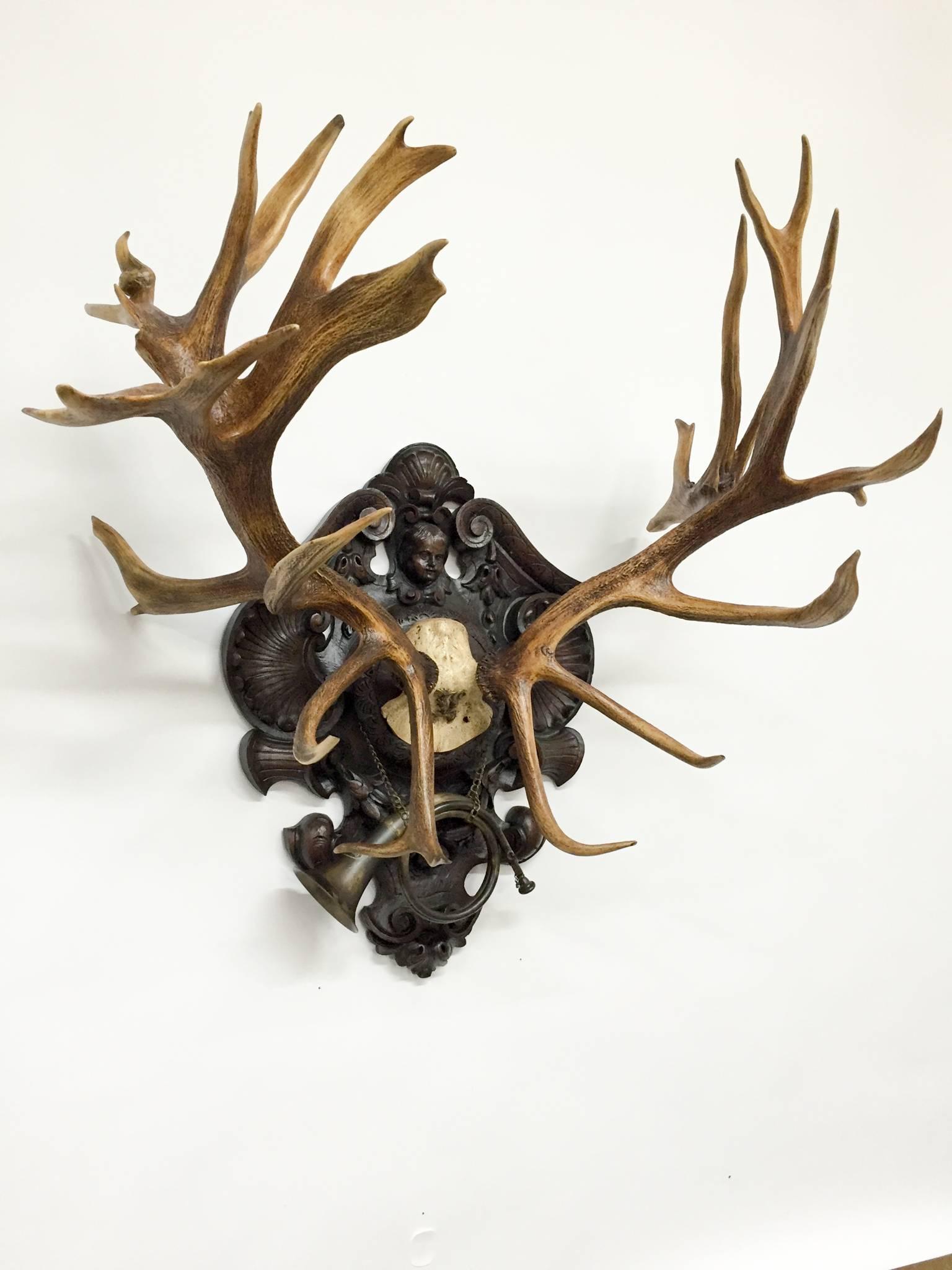 19th Century Red Stag Trophy of Ludwig II of Bavaria with Original Hunt ...