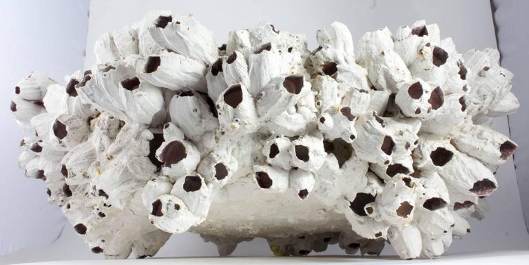 Oversized Unique Barnacle Bowl Sculpture Centerpiece at 1stDibs