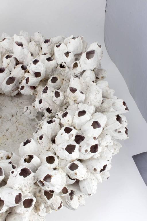 Oversized Unique Barnacle Bowl Sculpture Centerpiece at 1stDibs