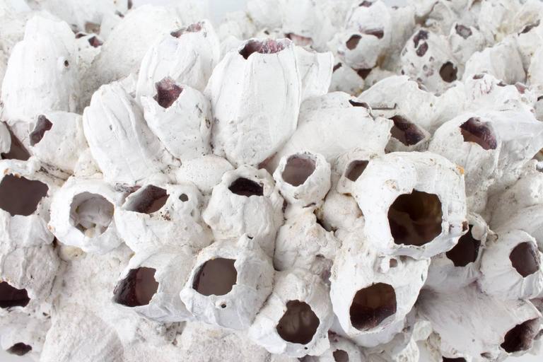 Oversized Unique Barnacle Bowl Sculpture Centerpiece at 1stDibs