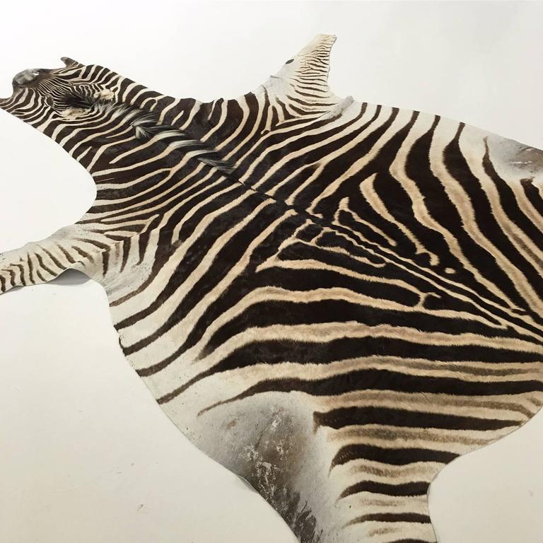 Zebra Hide Rug at 1stDibs