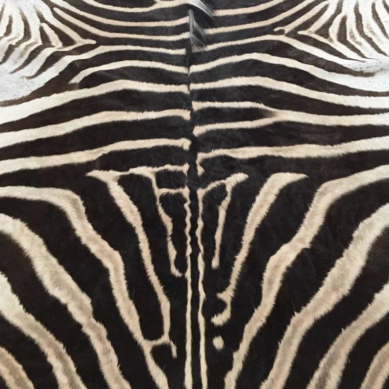 Zebra Hide Rug at 1stDibs