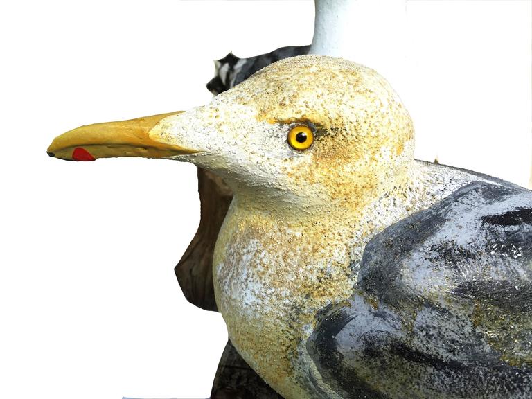 Pair of Artist Signed Painted Cement Seagulls on Wood Slab Stands For ...