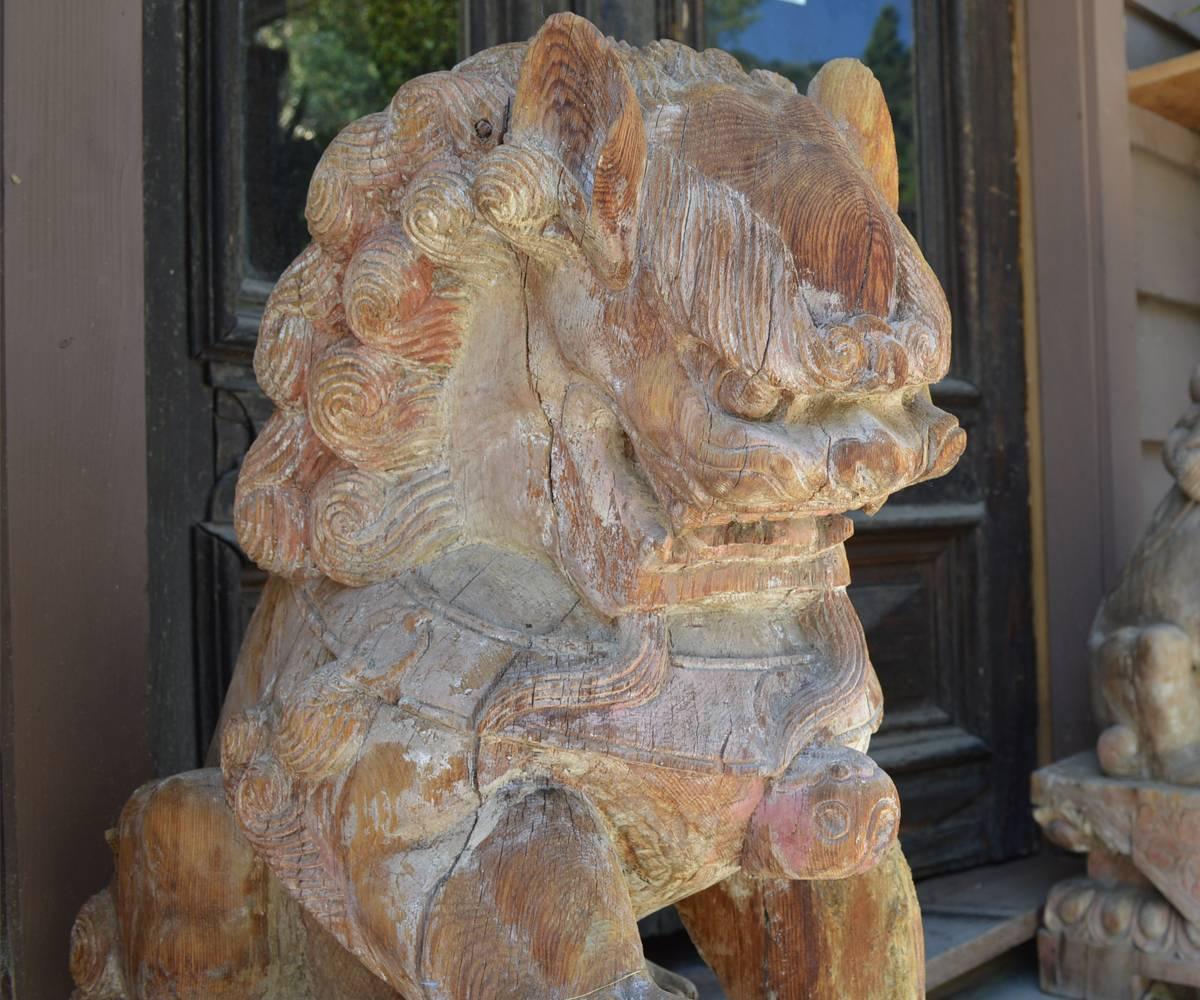 Pair of Large Antique Carved Wood Chinese Foo Dogs at 1stdibs