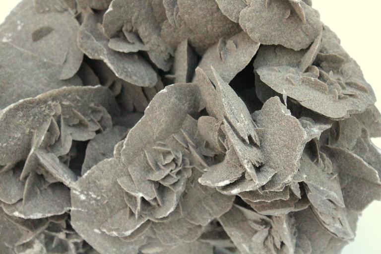 Elephant Ear Selenite Specimen For Sale at 1stDibs