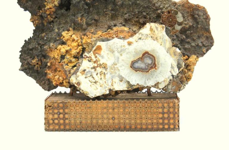 Mounted Prehistoric Fossil Rock Coral with Stalactite and Fossil ...