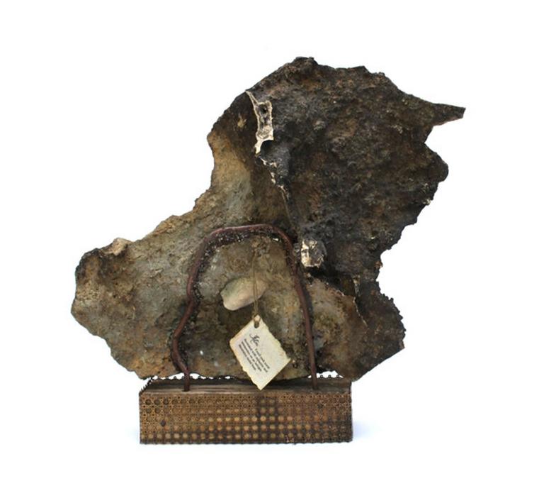 Mounted Prehistoric Fossil Rock Coral with Stalactite and Fossil ...