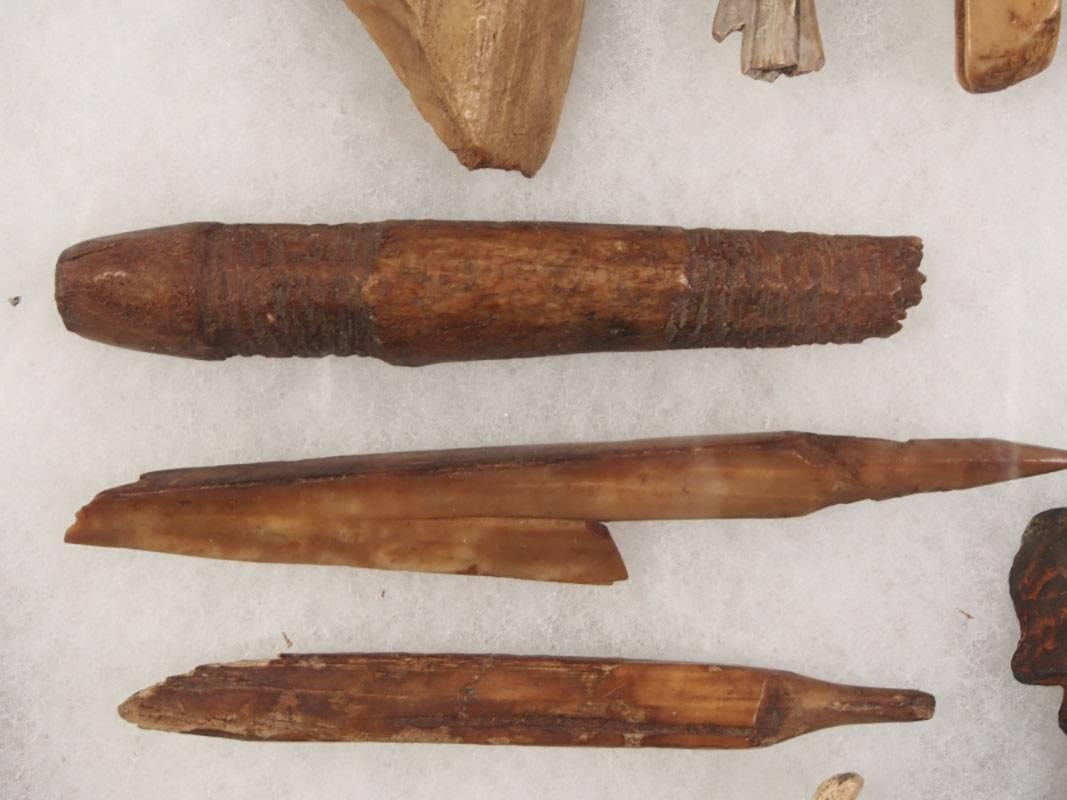 Museum Style Artifact Cased Collection at 1stDibs