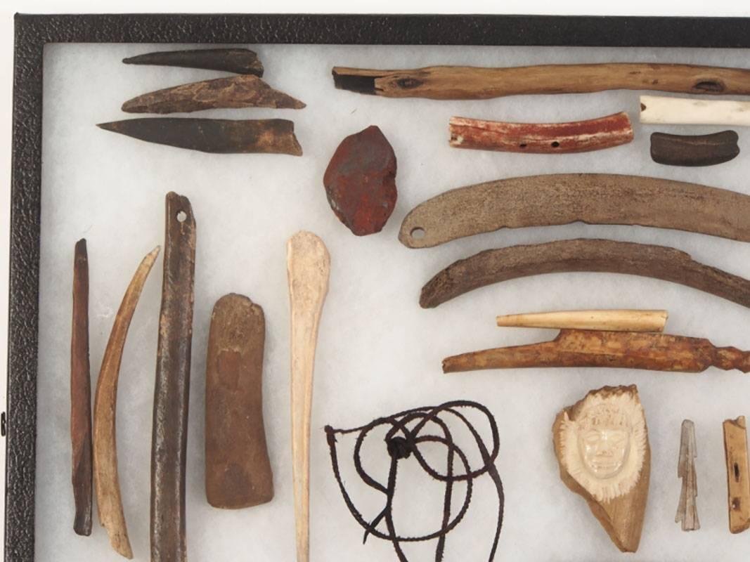 Museum Style Artifact Cased Collection at 1stDibs