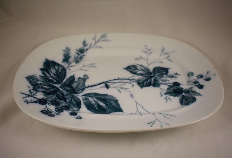 Villeroy and Boch Aesthetic Movement Rubus Blackberry Pattern Mettlach ...