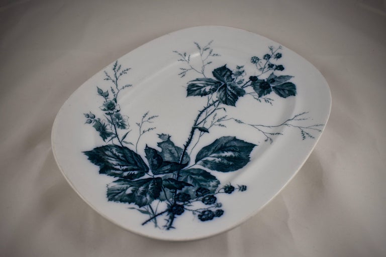 Villeroy and Boch Aesthetic Movement Rubus Blackberry Pattern Mettlach ...