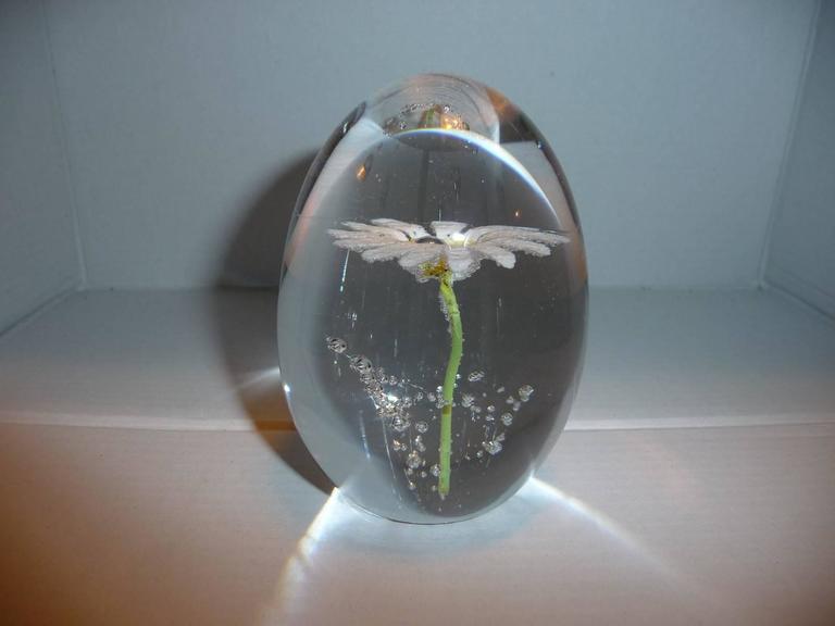 Paperweight Egg Daum Daisy Flower For Sale at 1stDibs | daum paperweight