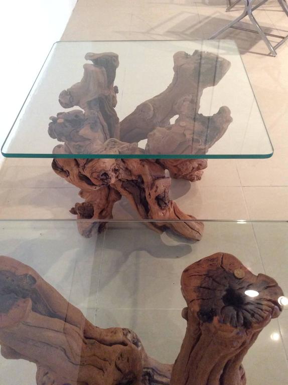 Driftwood Vintage Pair of Cypress Root End Side Tables Palm Beach Tree ...