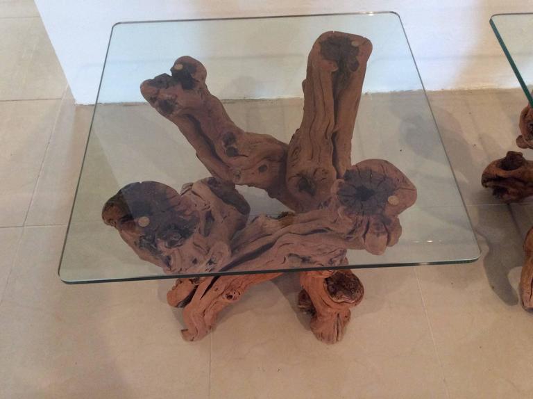 Driftwood Vintage Pair of Cypress Root End Side Tables Palm Beach Tree ...