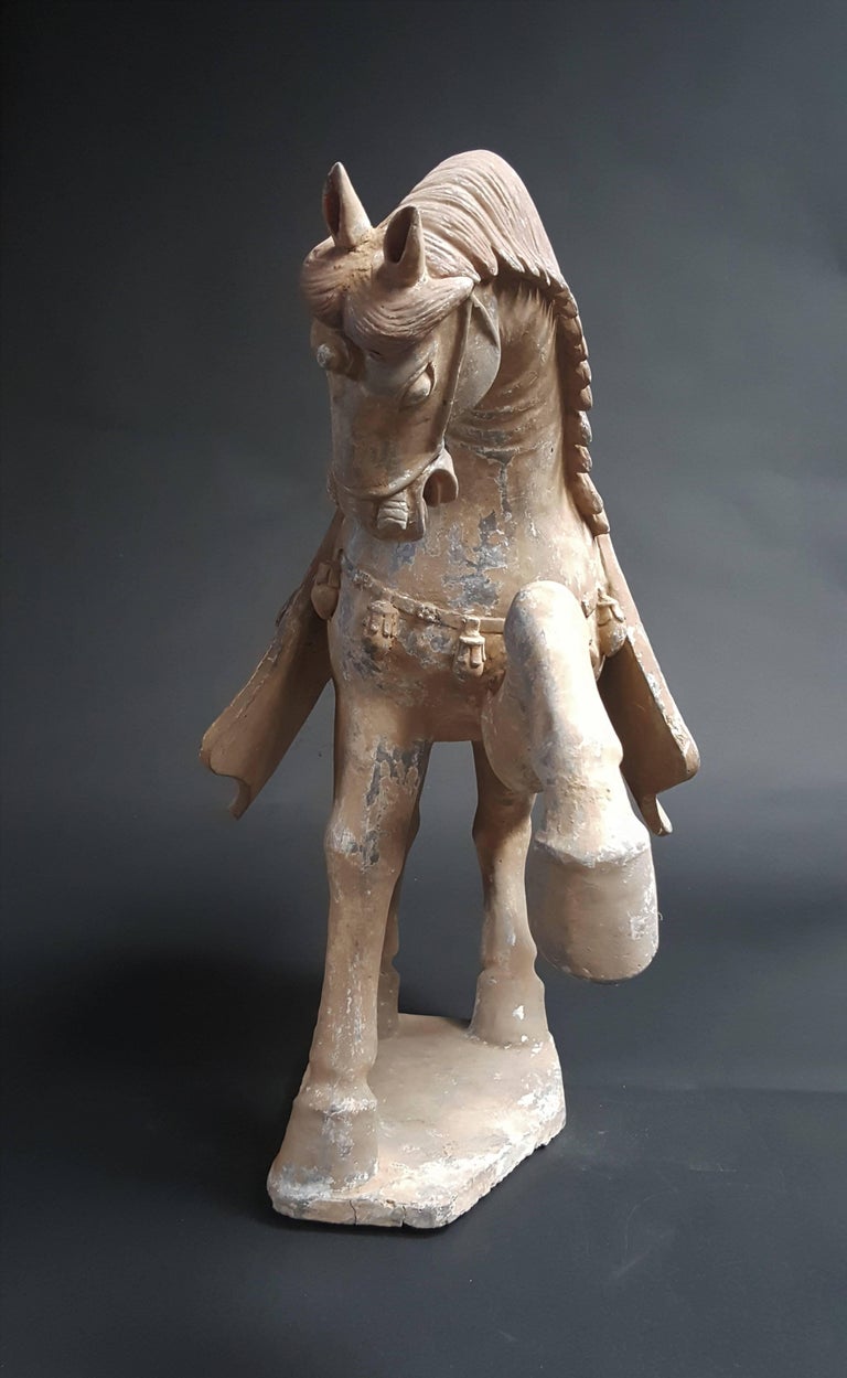 Handsome Prancing Horse, Tang Dynasty 'AD 618-AD 907' For Sale at 1stDibs