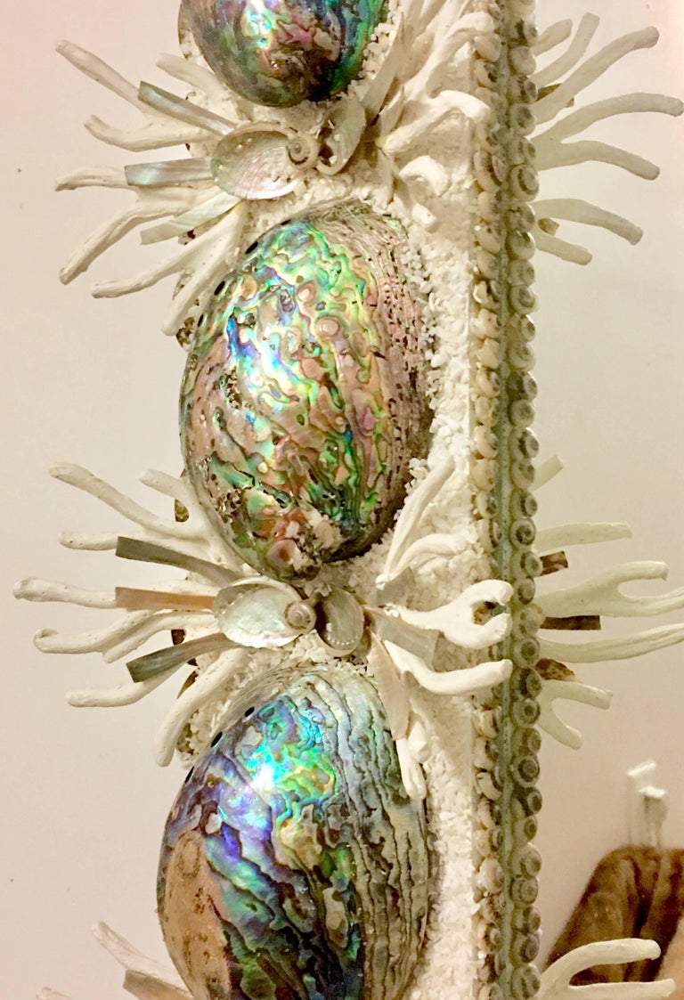 Large Abalone Shell and Spider Coral Branch Framed Mirror-50' Inches ...