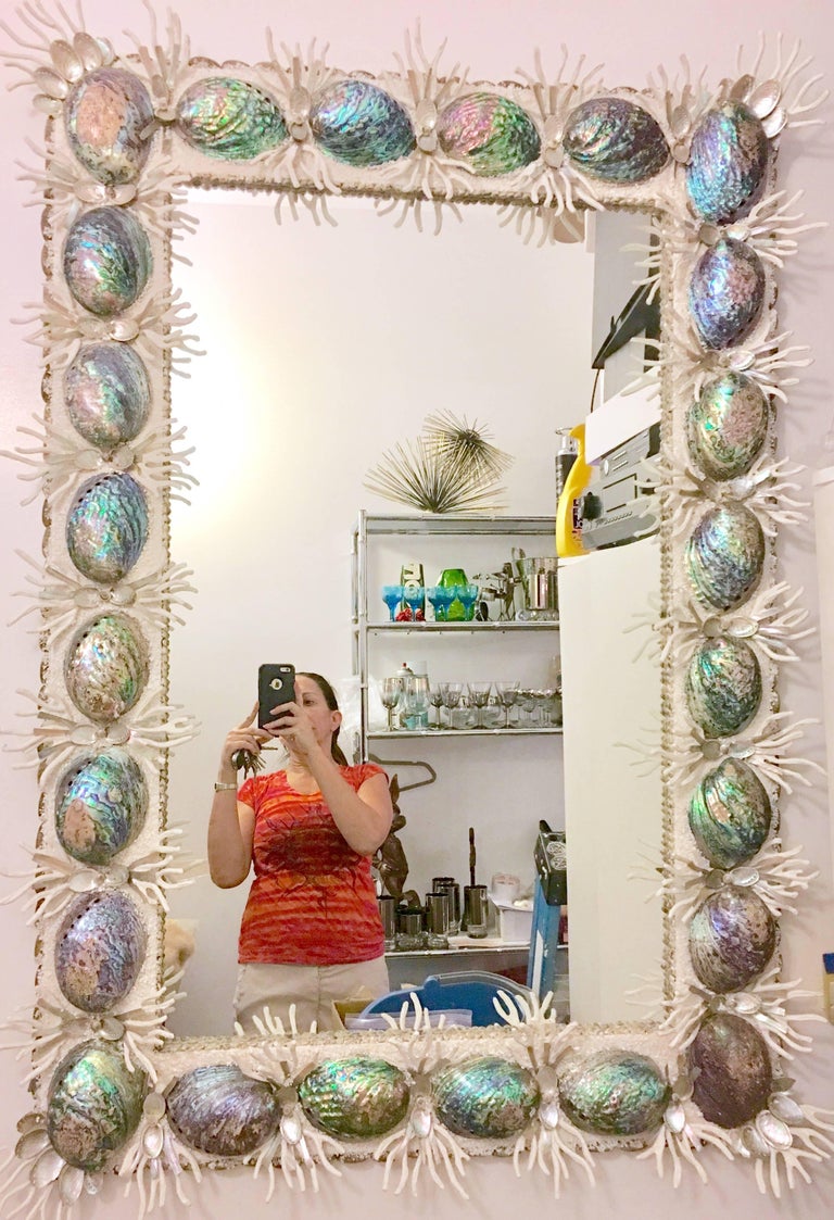Large Abalone Shell and Spider Coral Branch Framed Mirror-50' Inches ...