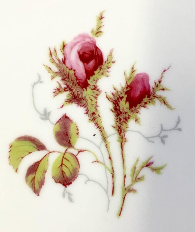 1950s German Porcelain "Moss Rose" 22-Karat Gold Trim 35 Piece Set at ...