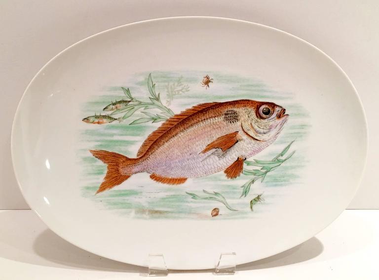 Mid-Century German Porcelain Hand Painted Fish Serving Se/7 By, JKW at ...