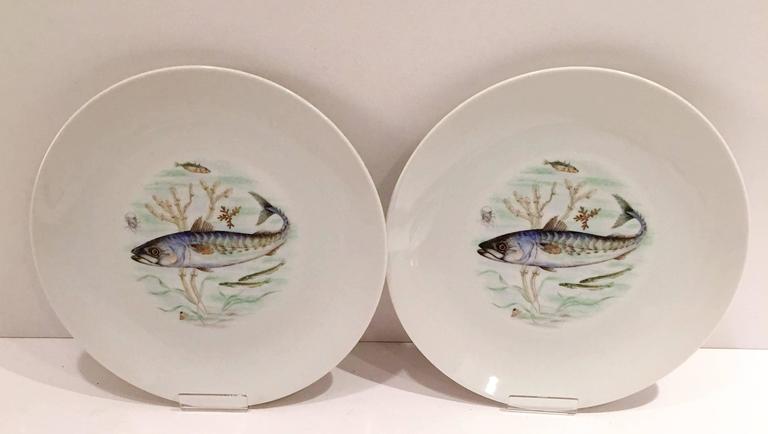 Mid-Century German Porcelain Hand Painted Fish Serving Se/7 By, JKW at ...