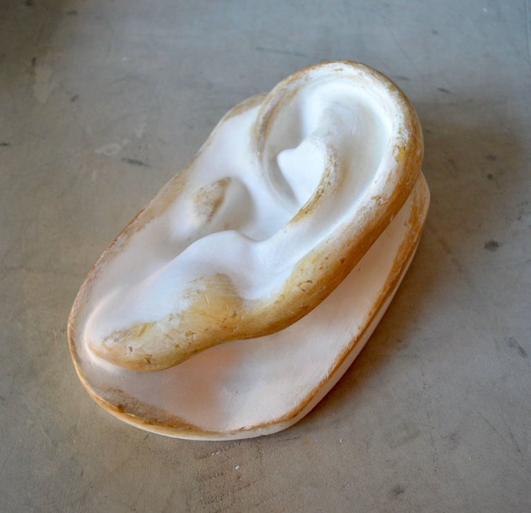 Sculptural Plaster Ear For Sale at 1stDibs