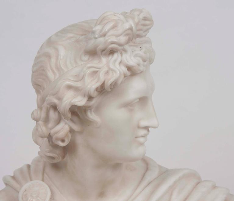 19th Century White Marble Bust of Apollo Belvedere at 1stDibs