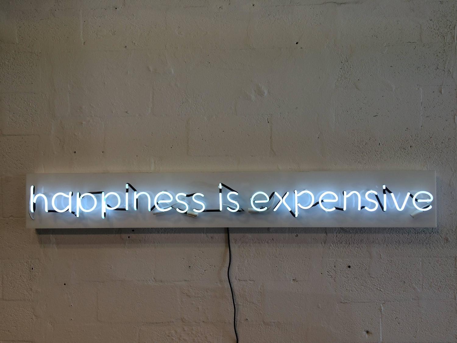 Happiness is Expensive Neon Sign in the Style of Alejandro Diaz For ...