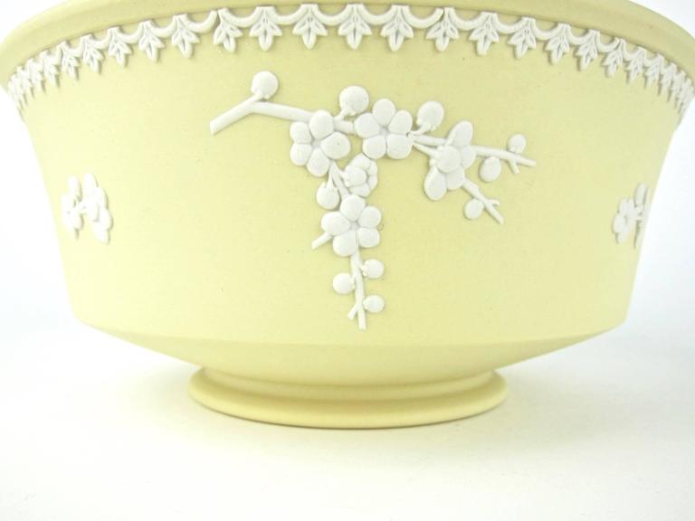 Vintage Wedgwood Jasper Ware White on Primrose Yellow Prunus Bowl at ...