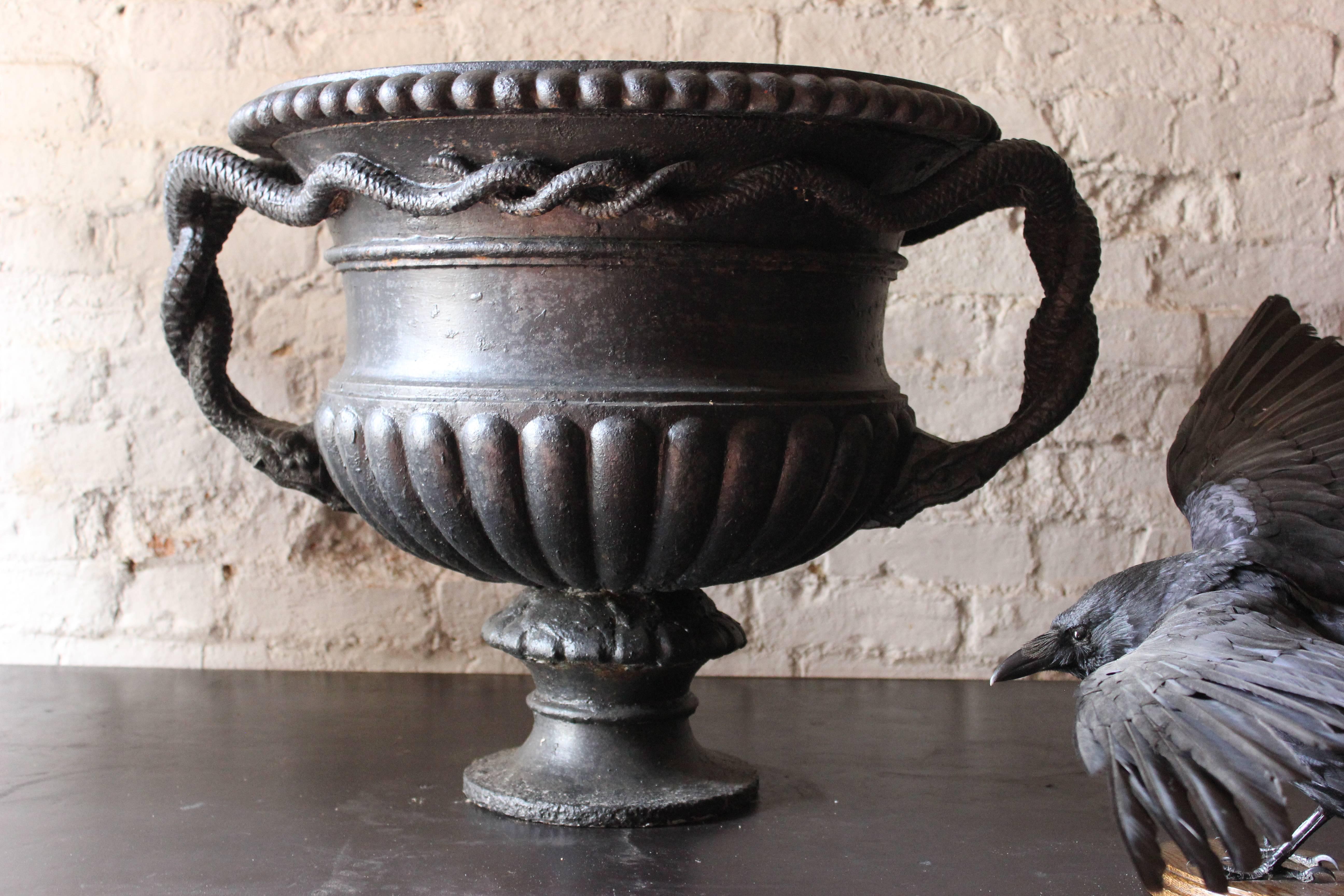 Large and Rare Pair of Cast Iron French Estate Serpent Handled Urns at ...