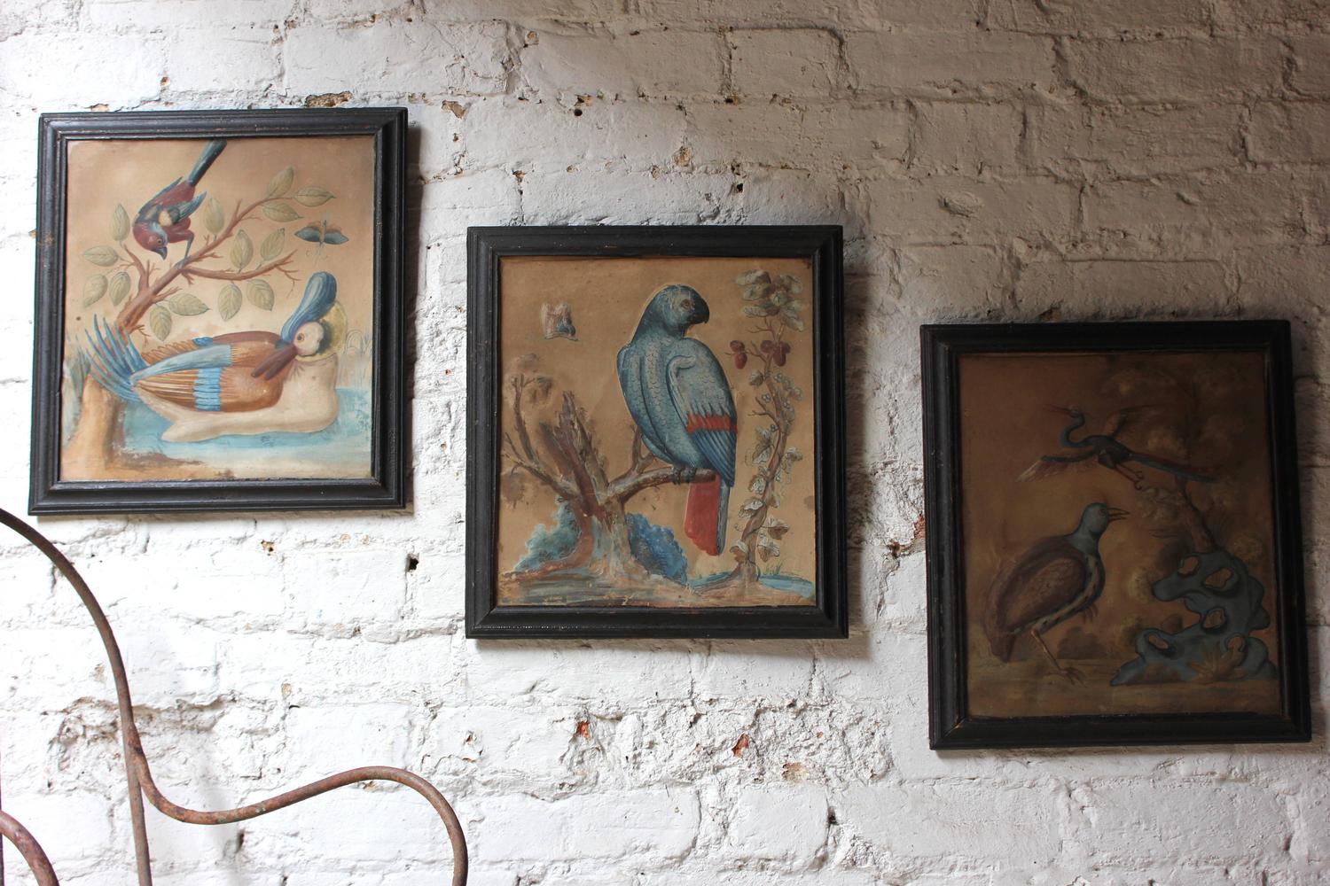 Circle of Samuel Dixon; 18th Century Trio of Ornithological Watercolour ...