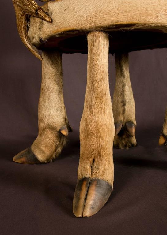 Moose Antler Stool with Pierced Wooden Seat on Four Moose Legs For Sale ...