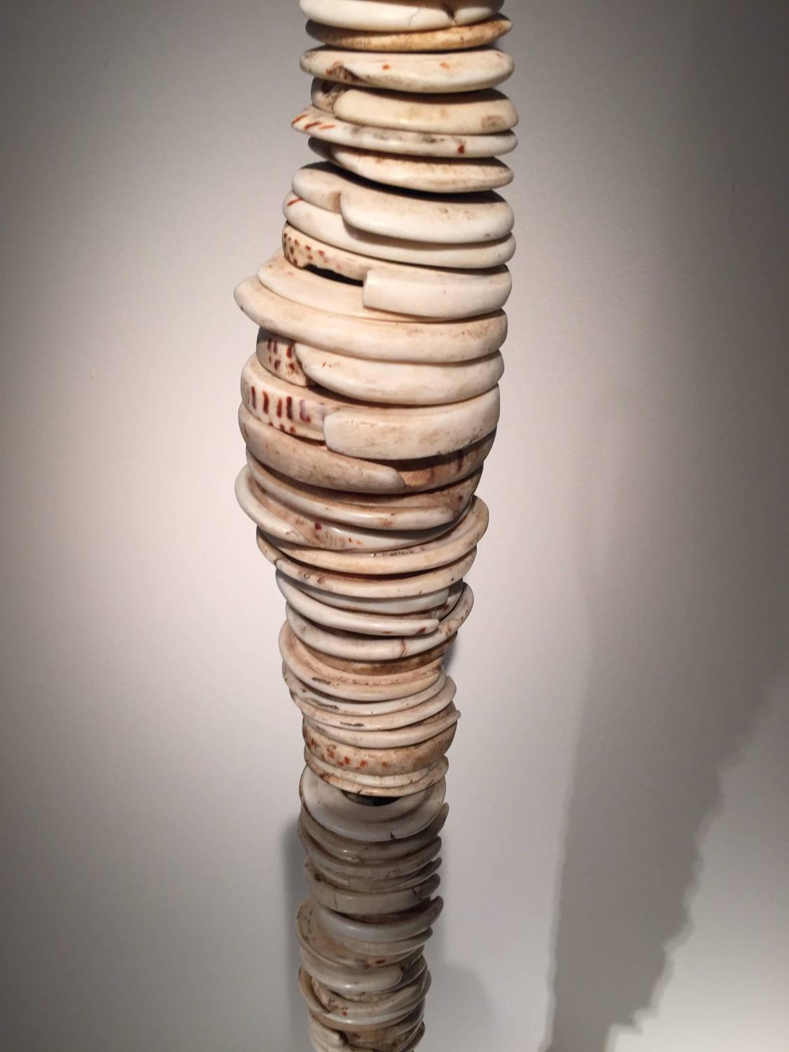 Money Stick, Shell, Papua New Guinea, 20th Century For Sale at 1stdibs
